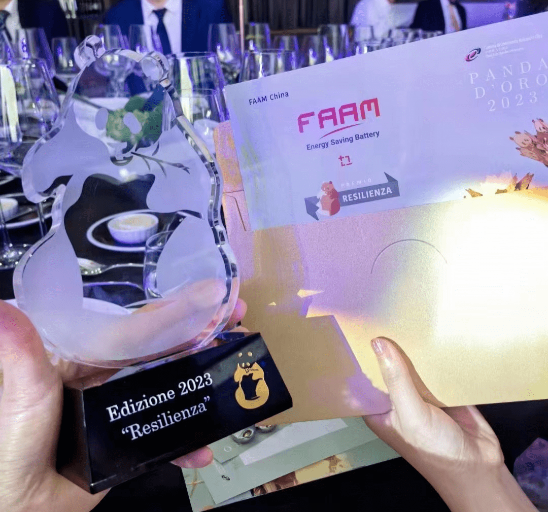 FAAM中国获意大利金熊猫百折不挠奖_the_Panda_Awards