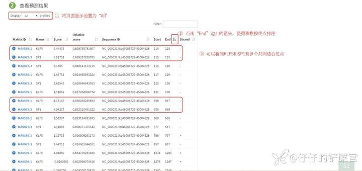 【科研工具包】转录因子预测及优化策略 ——JASPAR、NCBI、UCSC数据库联用_基因_序列_位点