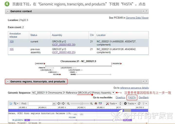 【科研工具包】转录因子预测及优化策略 ——JASPAR、NCBI、UCSC数据库联用_基因_序列_位点