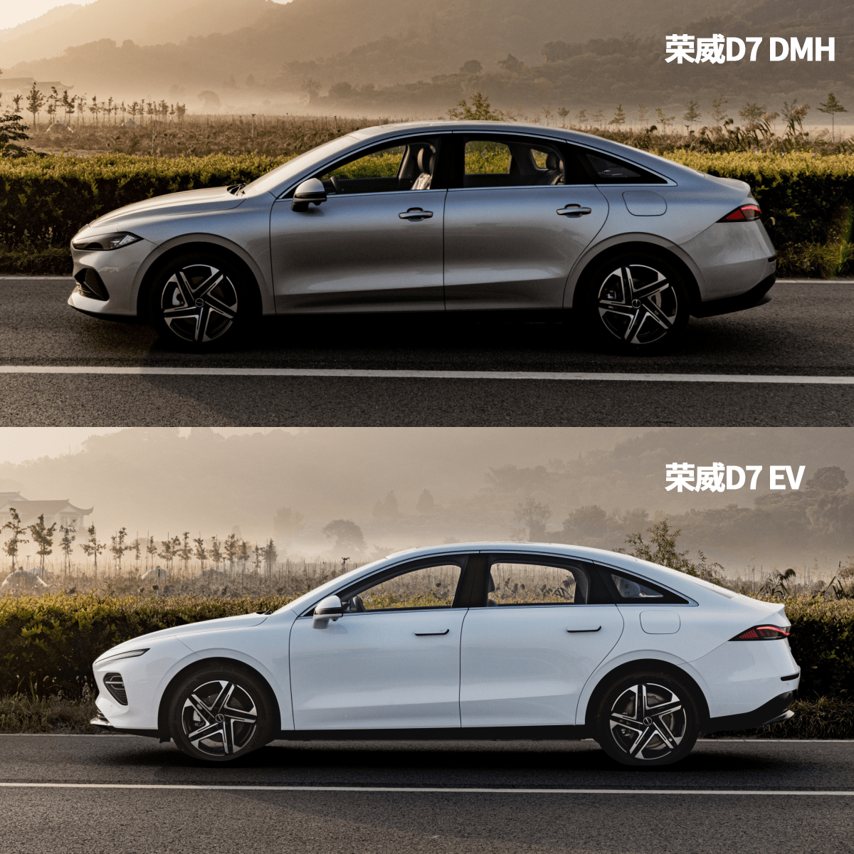 十年磨一剑，又一款“卷王”来袭！荣威D7 EV&DMH上市_搜狐汽车_搜狐网