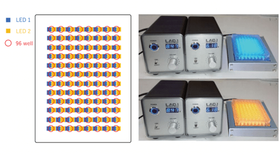 2 色 LED 阵列系统_控制_颜色_实验