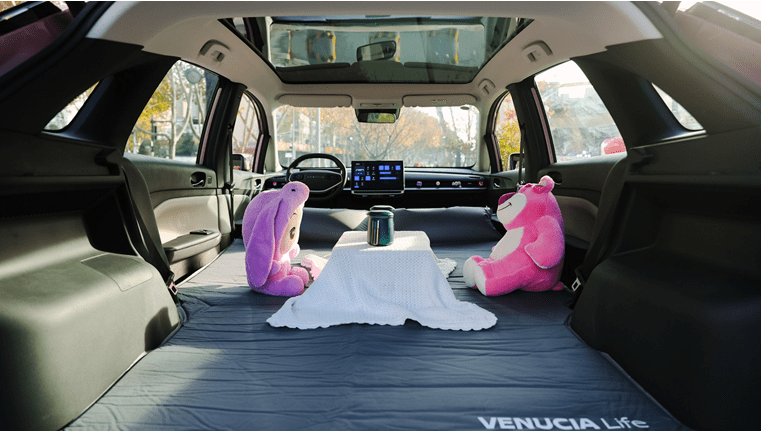 心动不如行动，启辰携大V DD-i和VX6冲击年末销量_搜狐汽车_搜狐网