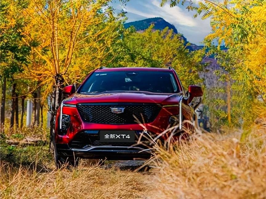 凯迪拉克全新XT4对比奥迪Q3，必须把面子赚足！_搜狐汽车_搜狐网