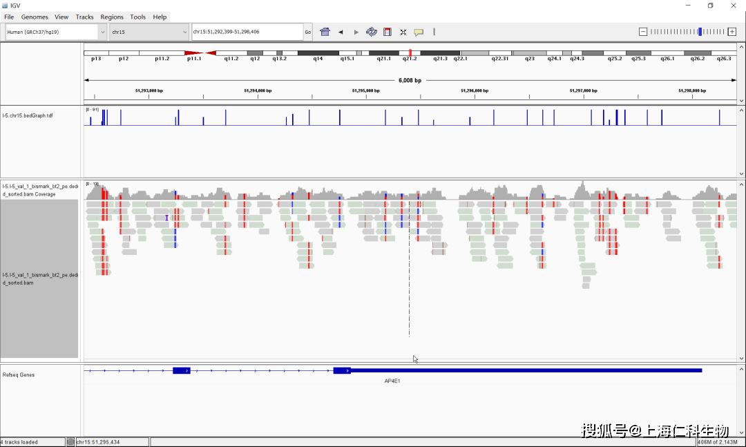 IGV快速上手指南（五）——查看甲基化数据_tdf_文件_BedGraph