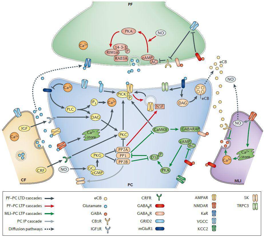 五天学会Nature级的图表及插图制作方法（网络精讲班_科研