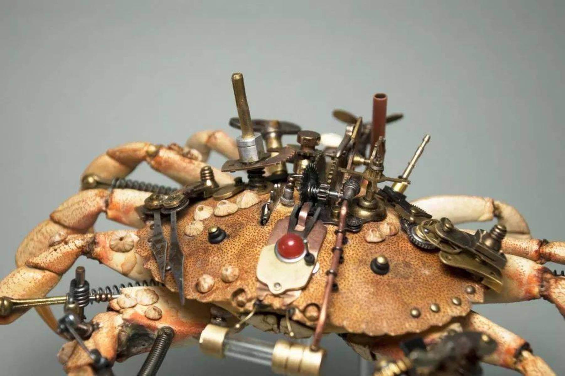 机械昆虫艺术家 Mike Libby