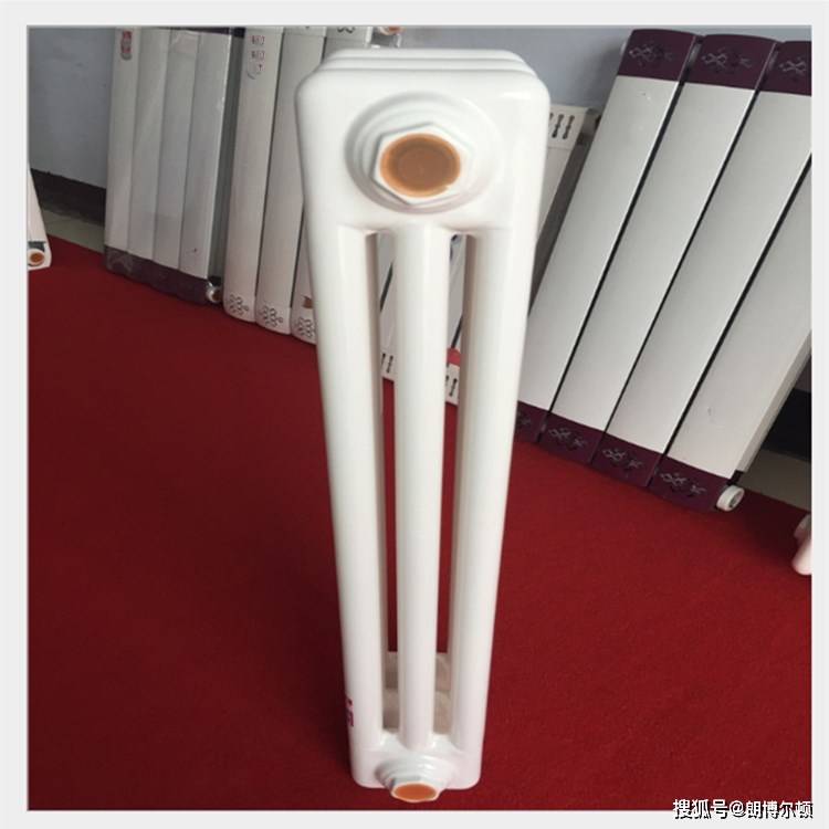 朗博尔顿GZ306钢三柱暖气片 家用钢三柱散热器规格-搜狐大视野-搜狐新闻