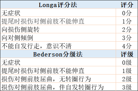 圆筒实验：大鼠局灶性脑缺血后感觉运动功能行为学评价-飞凡检测_前肢_动物_损伤