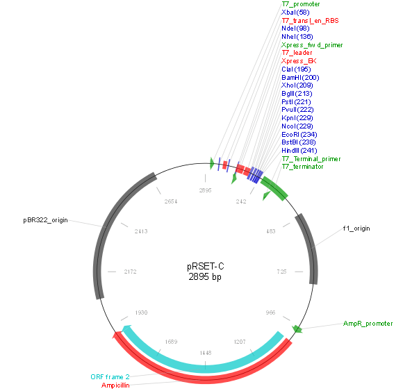 pRSETC / pRSET-C载体质粒图谱、序列、说明书、价格_N-His_N-Xpress_标签