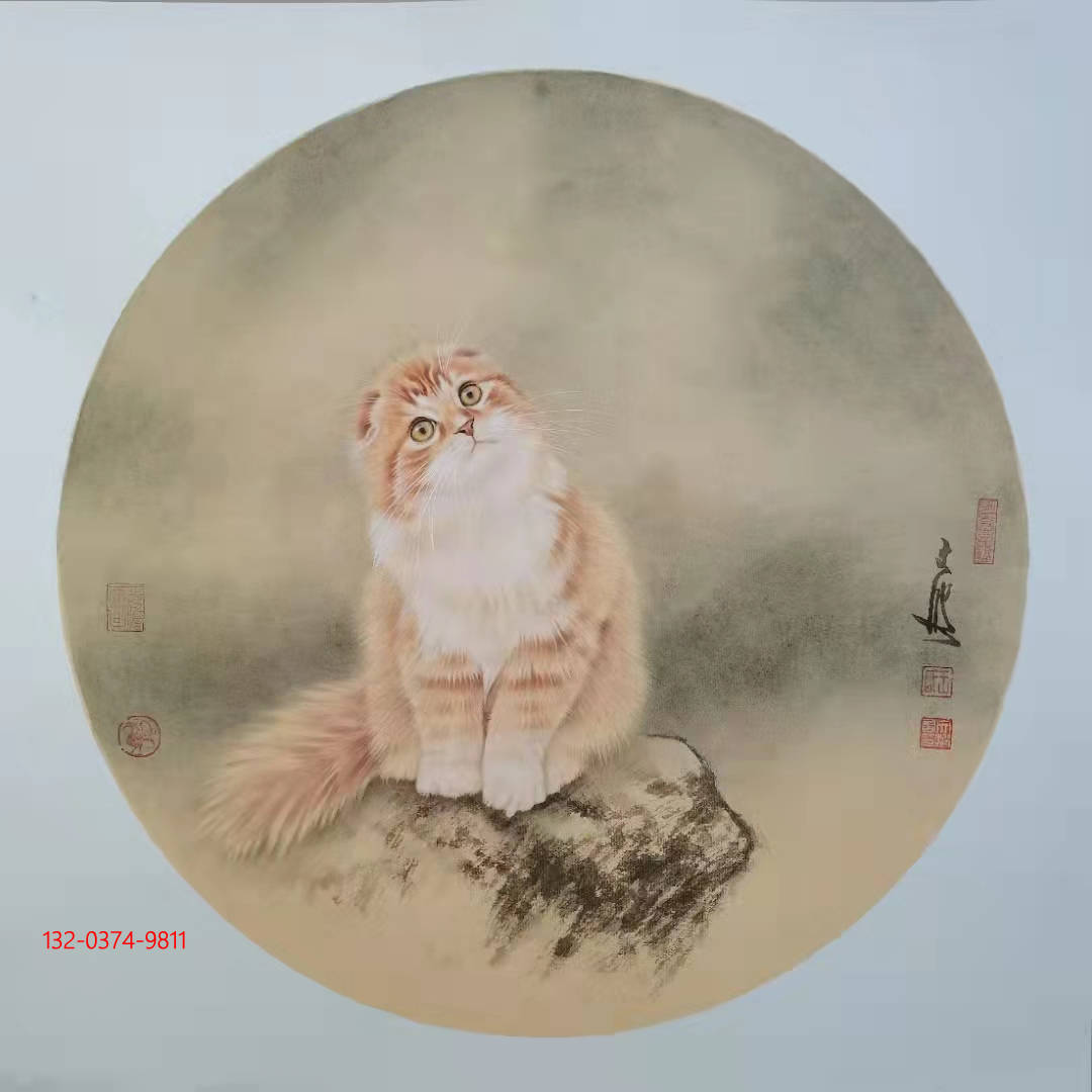 画家王文波国画猫作品集-搜狐大视野-搜狐新闻
