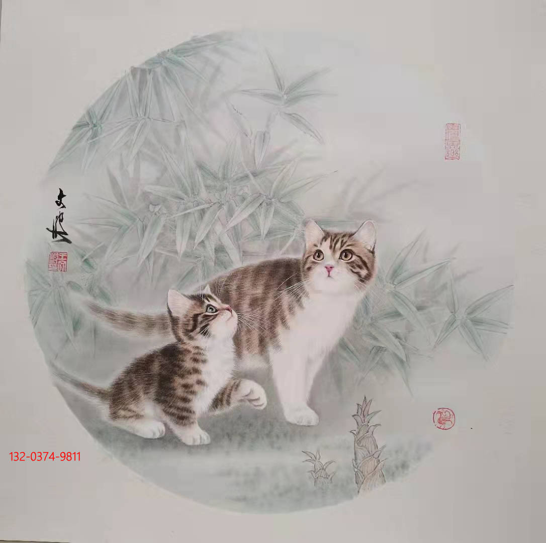 画家王文波国画猫作品集-搜狐大视野-搜狐新闻