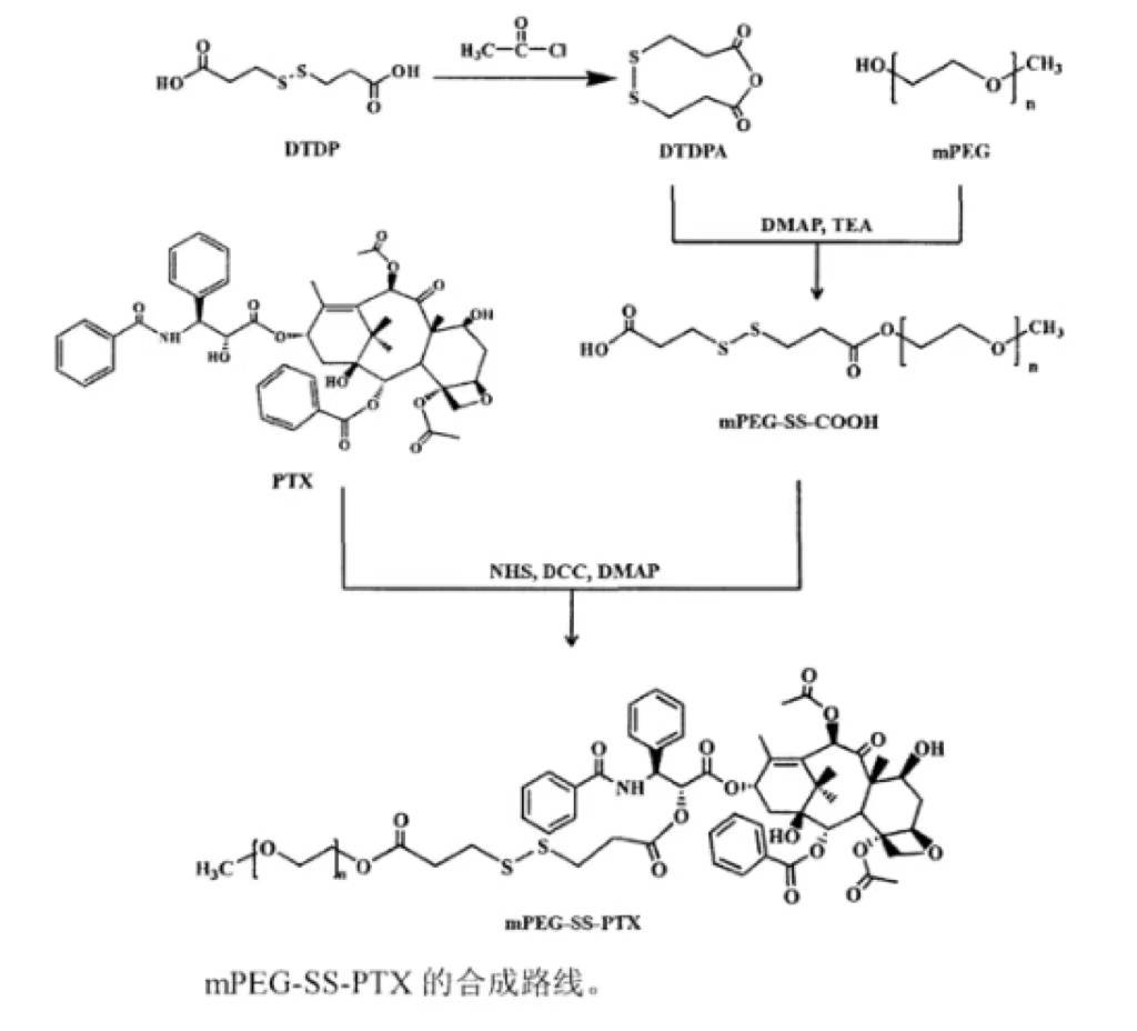 mPEG-SS-PLGA-COOH 甲氧基聚乙二醇-SS-聚丙交酯乙交酯共聚物-羧基_反应_羟基_生物