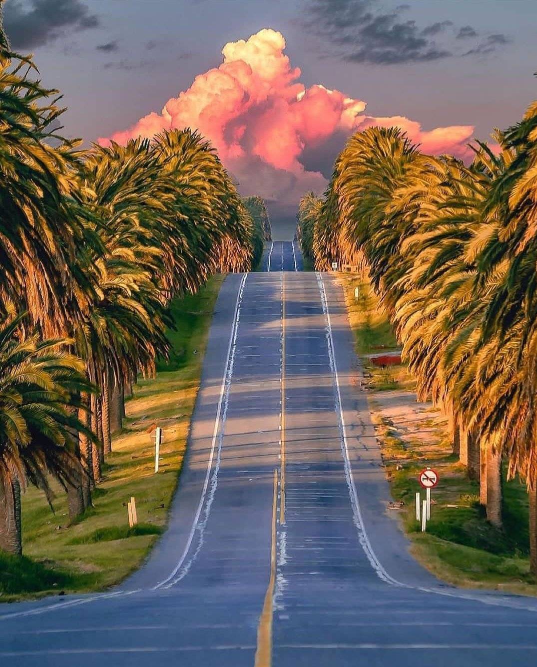 自然之美is good to it 2020. 8. 05-搜狐大视野-搜狐新闻