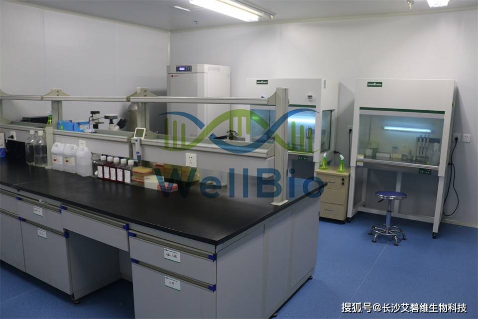 长沙艾碧维（Abiowell）实验室图片--细胞房-搜狐大视野-搜狐新闻