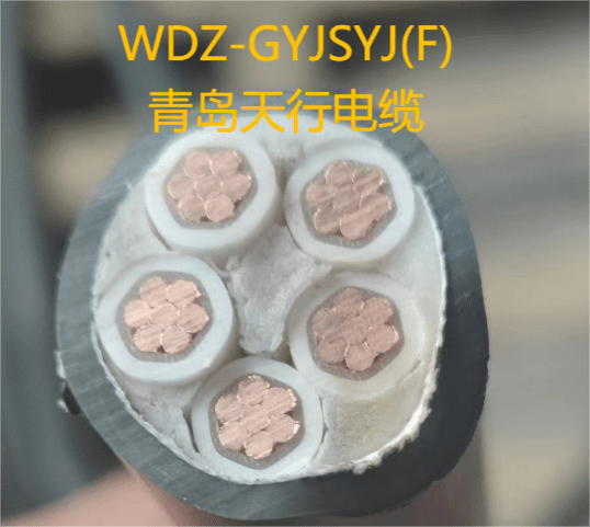 【天行电缆】WDZ-GYJSYJ（F）70年高寿命电缆的规格-土巴兔装修网