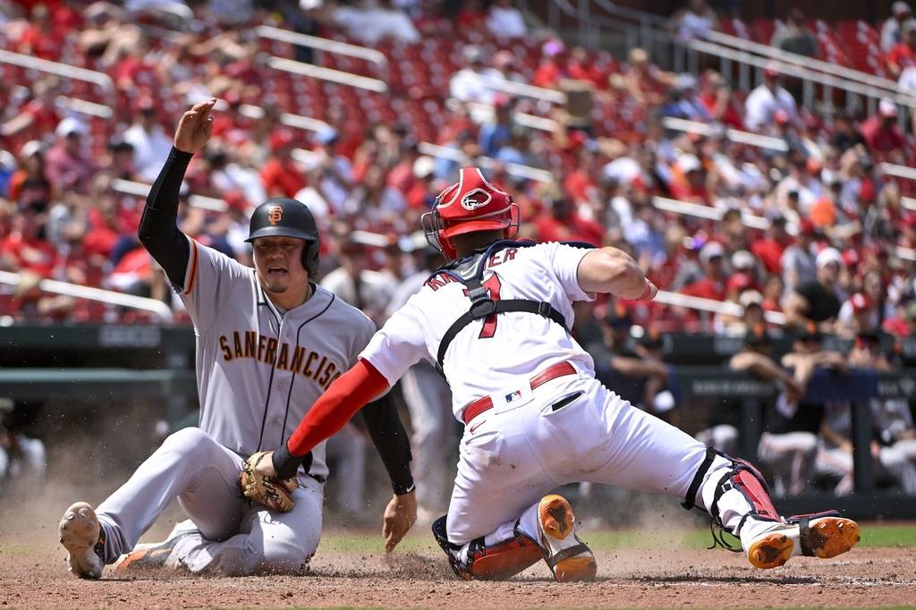 2023赛季MLB常规赛：圣路易斯红雀5-8旧金山巨人-搜狐大视野-搜狐新闻