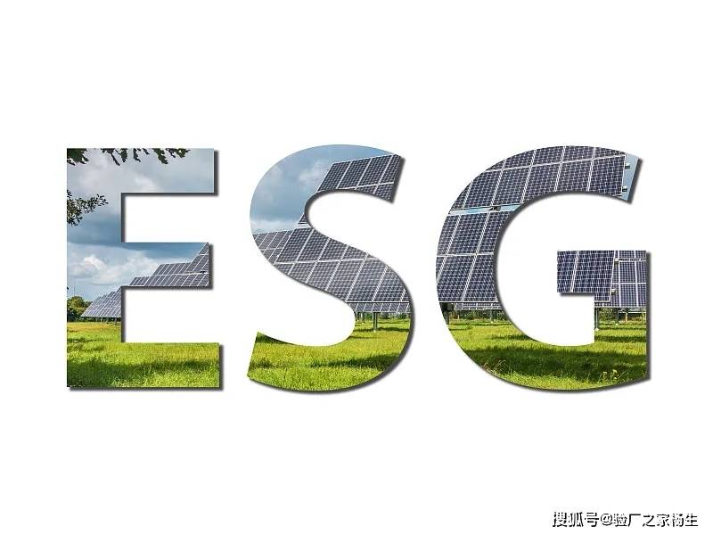 ESG：企业可持续发展的新风向标_投资_公司_因素