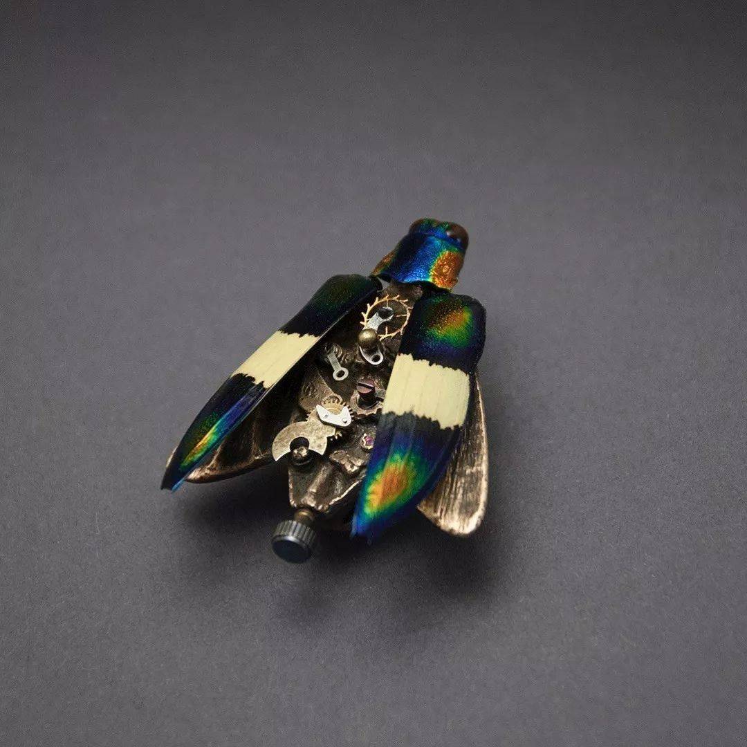 机械昆虫艺术家 Mike Libby-搜狐大视野-搜狐新闻