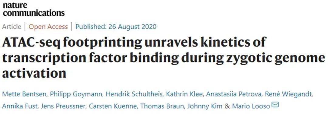 Nat.Commun.| 德国马普所开发新的ATAC-seq分析工具，助力表观遗传过程解析_研究