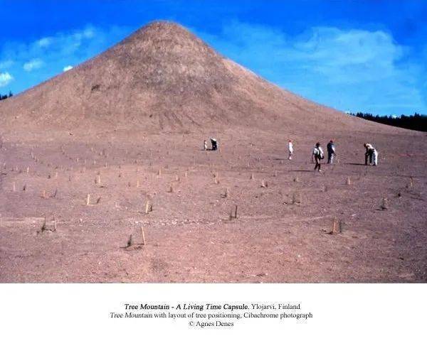 Agnes Denes | 理性的终极浪漫_种植