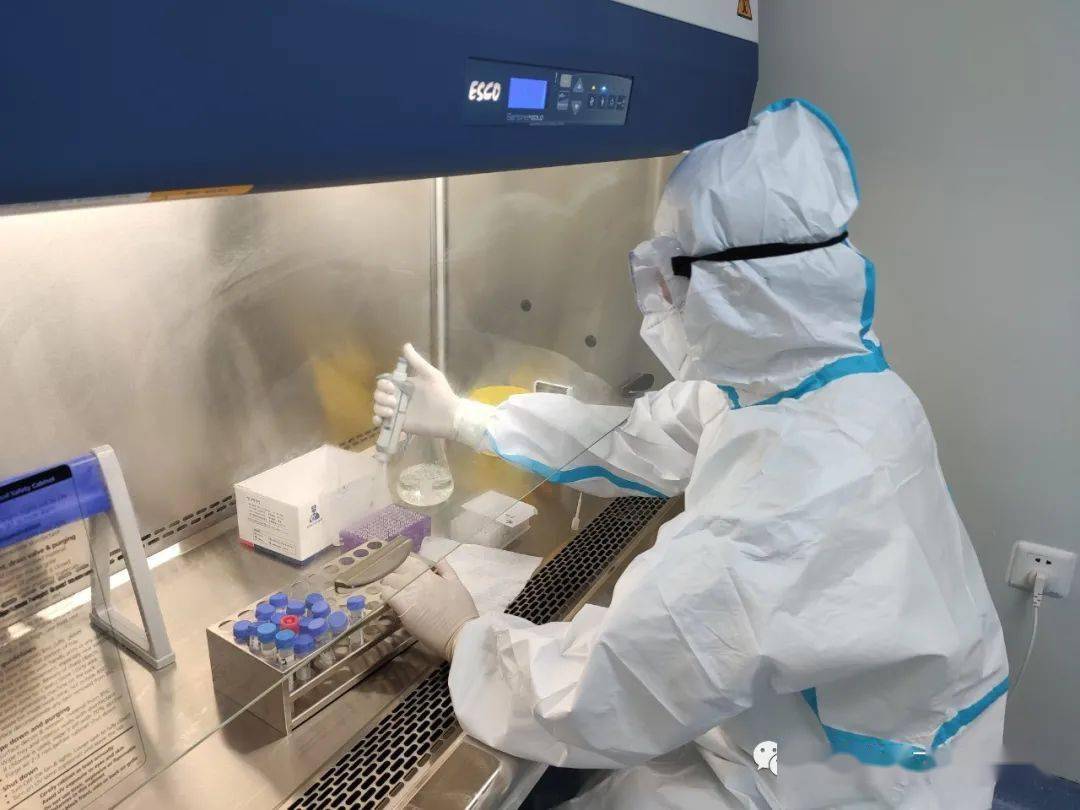 蓬江区PCR实验室通过验收，完全具备新冠病毒核酸检测能力！_基因
