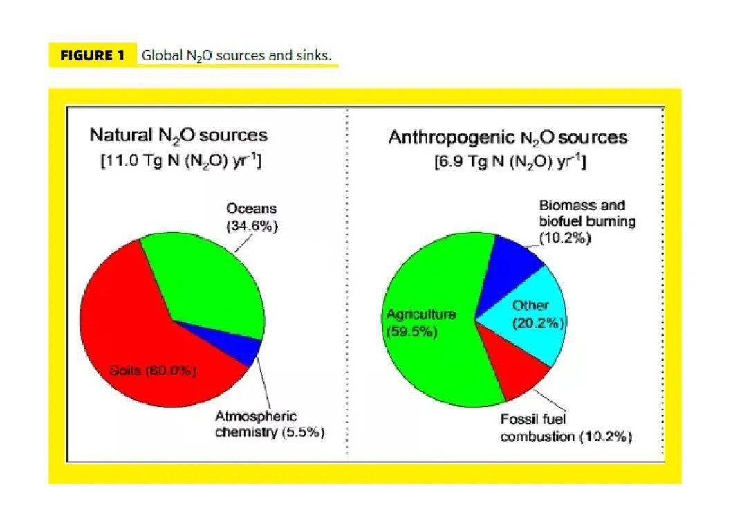 N2O是个什么东东..._搜狐汽车_搜狐网
