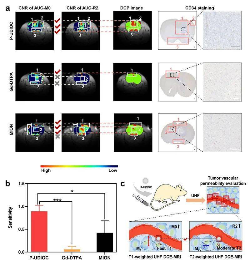 【材料】凌代舜团队开发出用于高性能血管成像的超高场T1-T2双模态MRI造影剂_Imaging