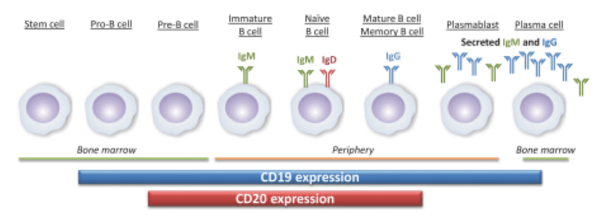 探针资本_上市公司分析： Viela Bio_免疫