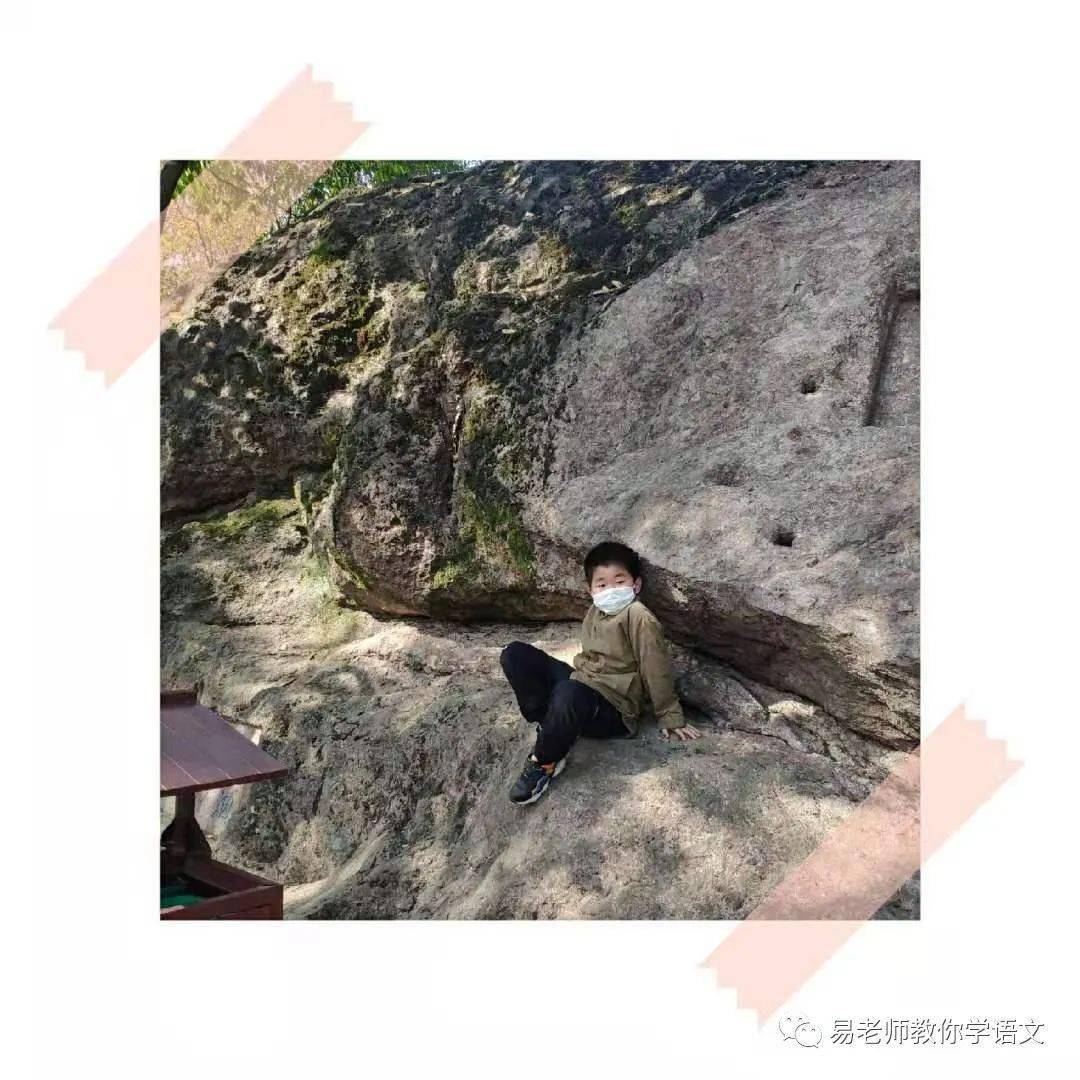 小老鼠玩电脑-搜狐大视野-搜狐新闻