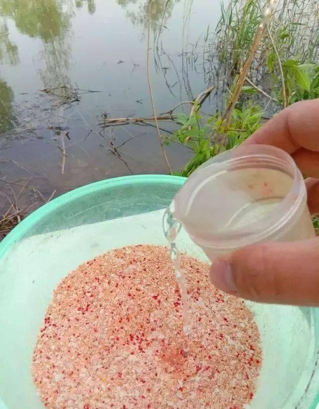 拉饵总开不好？注意这几点，拉出最完美的饵不在话下！饵料