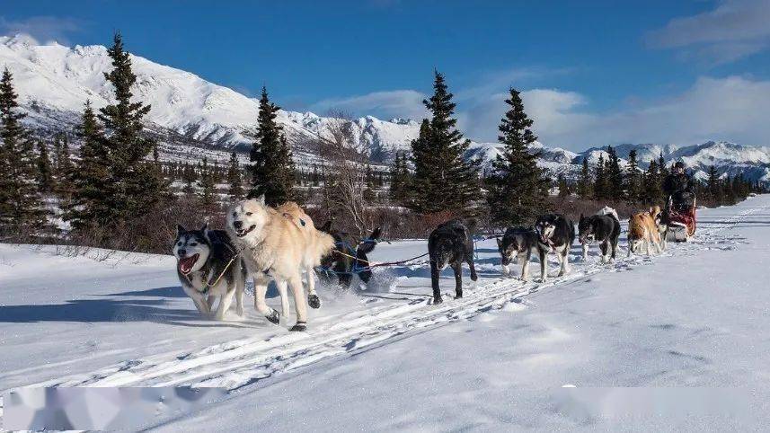 典范英语10 | White Fang| Summary+Themes+Character List_in