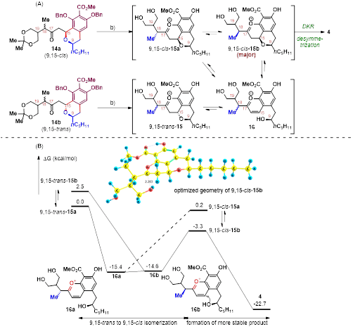 Angew. Chem.：Catellani反应策略助力天然产物(–)-berkelic acid的高效全合成_化合物