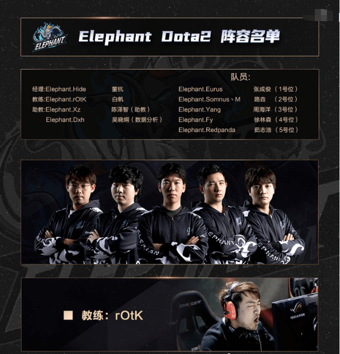 CNDota百花齐放，Rotk复出执教小象，4支队伍全员晋级_中国队