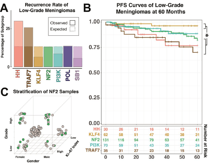 【期刊速览】《Neuro-Oncology》2021年5月文章_环状
