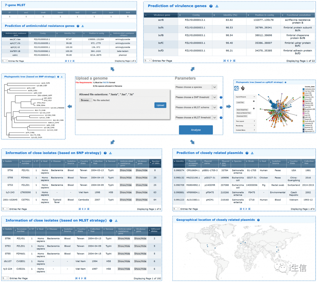 搞肠道微生物菌群的看过来：介绍一个细菌基因分型和源头追踪的一站式数据库_BacWGSTdb