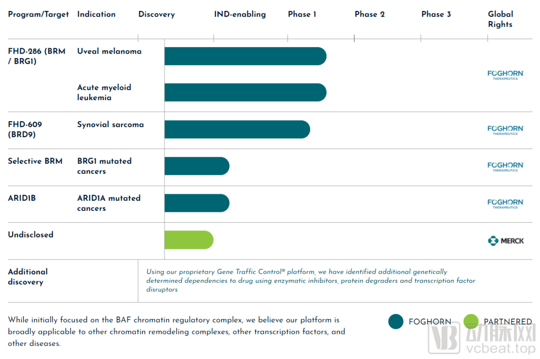 Foghorn Therapeutics：对基因实施“交通管制”，能否在抗癌疗法浪潮中掌舵？【Flagship投资案例】_Kadoch