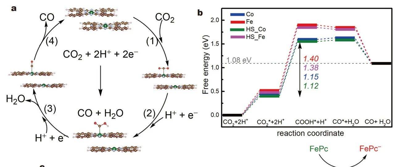 SCMs|双金属酞菁异质结构高选择性电催化CO2还原_CoPc