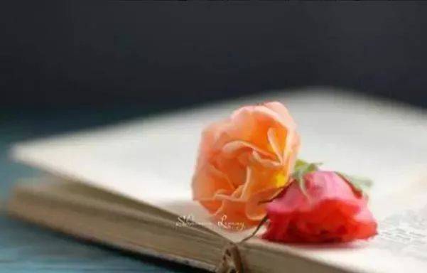 莫言最经典的3句话,终身受用一个人