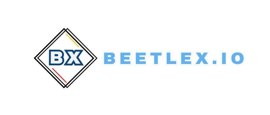 BeetleX.FastHttpApi之JWT和自定义访问验证_UseJWT