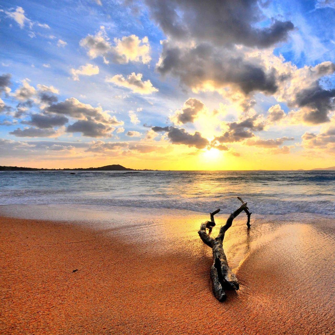 重庆市西北狼教育联盟2021-2022学年高二上学期开学质量检测数学试题_资料