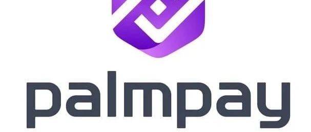 PalmPay：助力非洲构建移动支付服务新生态_尼日利亚