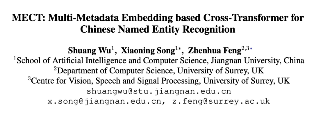 中文NER涨点神器！基于多元数据的双流Transformer编码模型_汉字