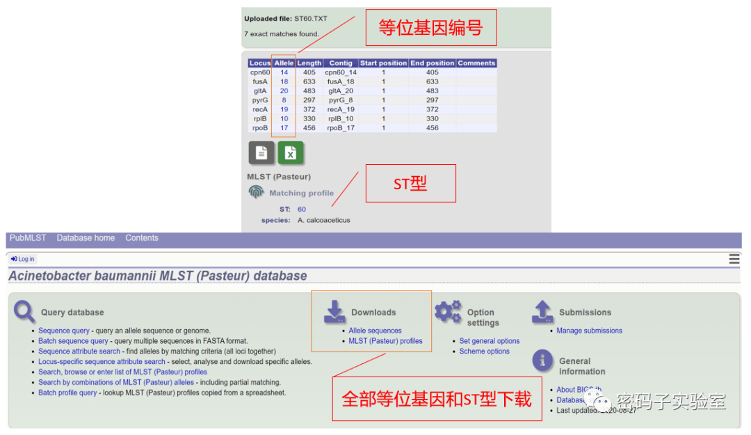 Pubmlst： 一个用于细菌分型的热门网站_序列