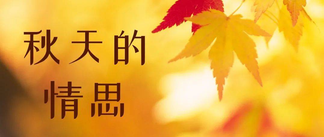 项目化学习实践金秋，一起走进上泗中学的诗意课堂！意象
