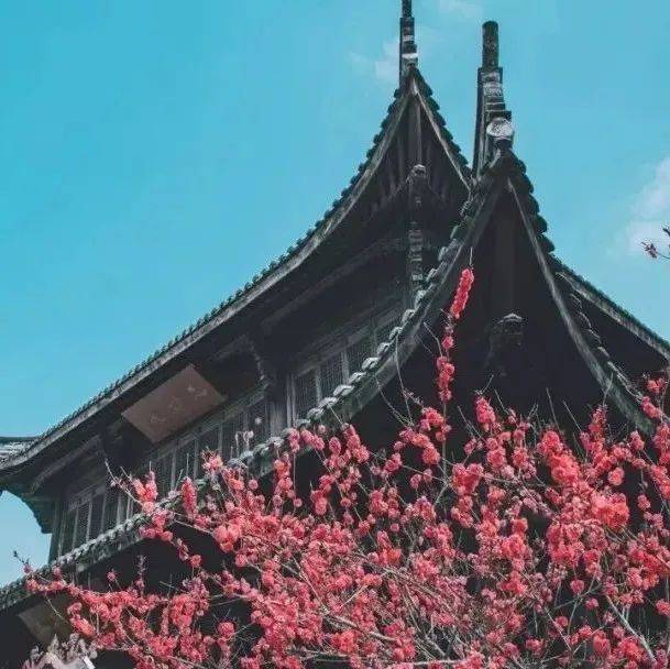成年人的世界,悲欢皆需自渡生活