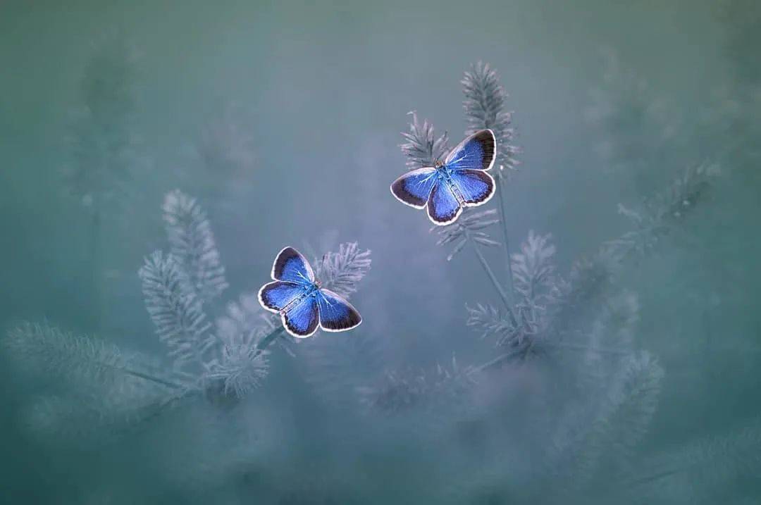۞ 每 日 一 悟 ۞生活