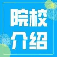 艺考重点大学一文全知：双一流、985、211、C9、34所、小985、小211…_高校