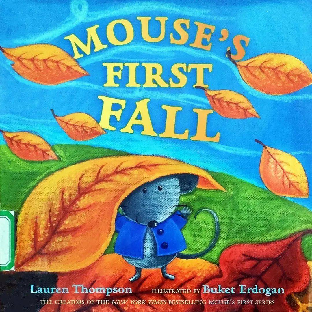【全民战疫 以读攻毒】英文故事磨耳朵：Mouse’s First Fall_董万欣