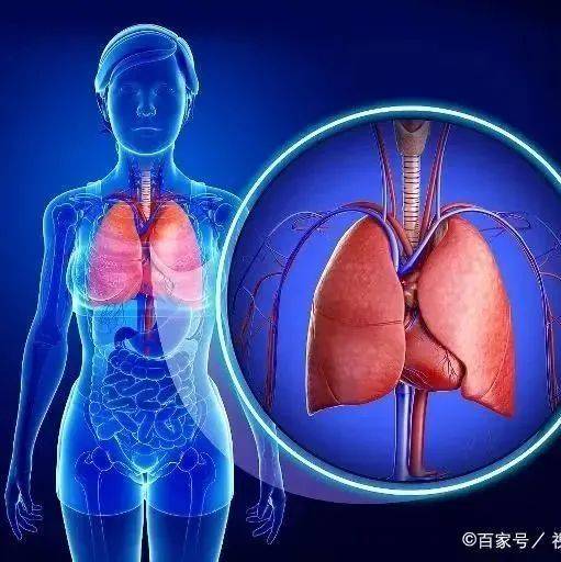 这些表现出现在晚上，多半是肝不好！为了身体健康，不妨看下肝脏