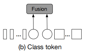 ICCV2021 MIT-IBM开源：Transformer走向多分支、多尺度_token